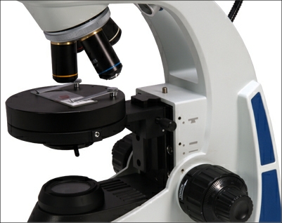 Dual Microscope