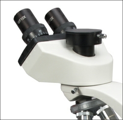 Low cost microscopes