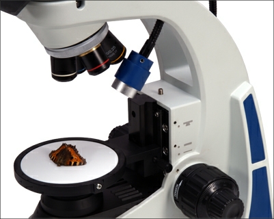 Dual Microscope