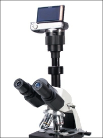 Research Microscopes